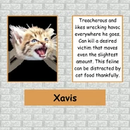 Xavis | Baldi's Basics 1 1/2 Wiki | Fandom