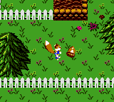 Acorn | Conker Wiki | Fandom