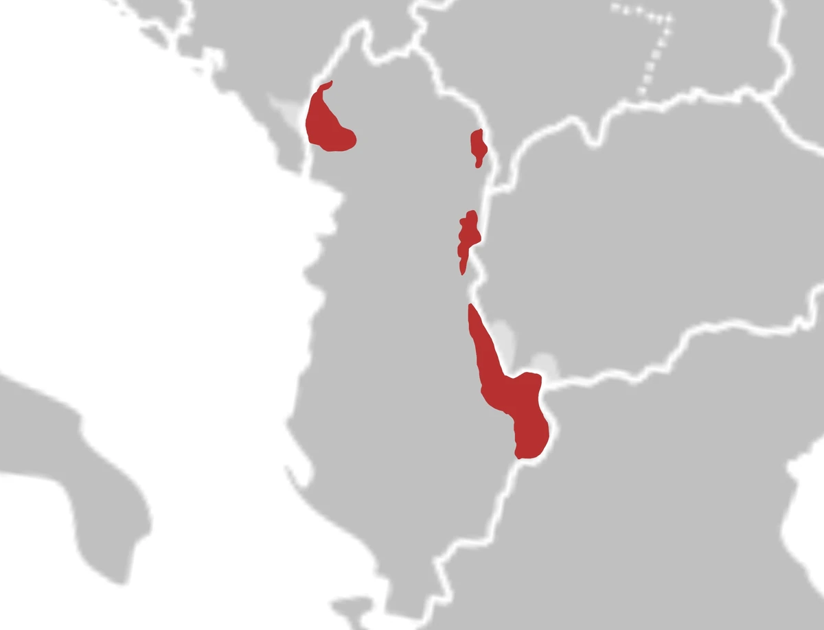 Stranian | Conlang | Fandom