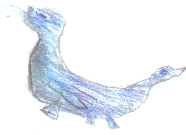 Stocuce/Animals | Constructed Mythology | Fandom