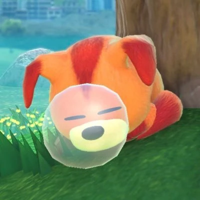 Jongakong | ConnorEatsPants Enjoyers Wiki | Fandom