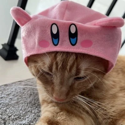 Hannah | ConnorEatsPants Enjoyers Wiki | Fandom