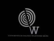 The Wolper Organization | Connor's Logo Wiki | Fandom