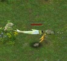 Deityland | Conquer Online Wiki | Fandom