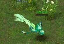 Deityland | Conquer Online Wiki | Fandom