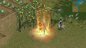 First Rebirth | Conquer Online Wiki | Fandom