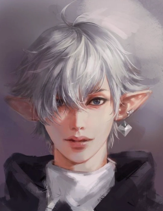 Sky Elf | Constellations of Himura Wiki | Fandom