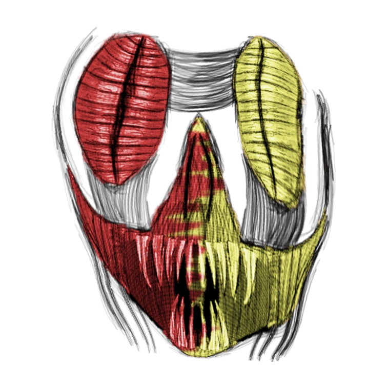 SPL-11 (Splitted Smiler) | Constructed Rooms Wiki | Fandom