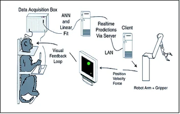 Brain-Computer Interface (BCI) | Consumer BCI Wiki | Fandom