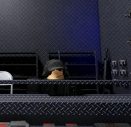 Contact a-888 Wiki | Fandom