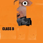 Class-D Personnel | SCP - Containment Breach Wiki | Fandom