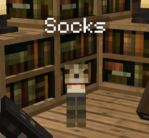 Socks the Cat | Contempromancy SMP Wiki | Fandom
