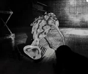 Content Warning Wiki | Fandom