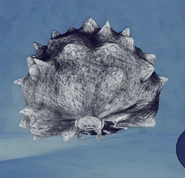 CW-023: Puffo | Content Warning Wiki | Fandom