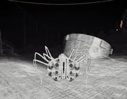 CW-009: Spider | Content Warning Wiki | Fandom