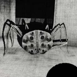 CW-009: Spider | Content Warning Wiki | Fandom