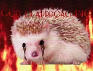 Hedgehog. exe | The Sonic Oddities Wiki | Fandom