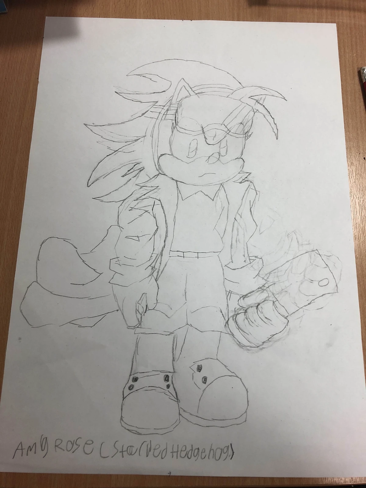 Amy Rose (Starving Hedgehog) | CONTINUED: The Sonic Oddities Wiki | Fandom