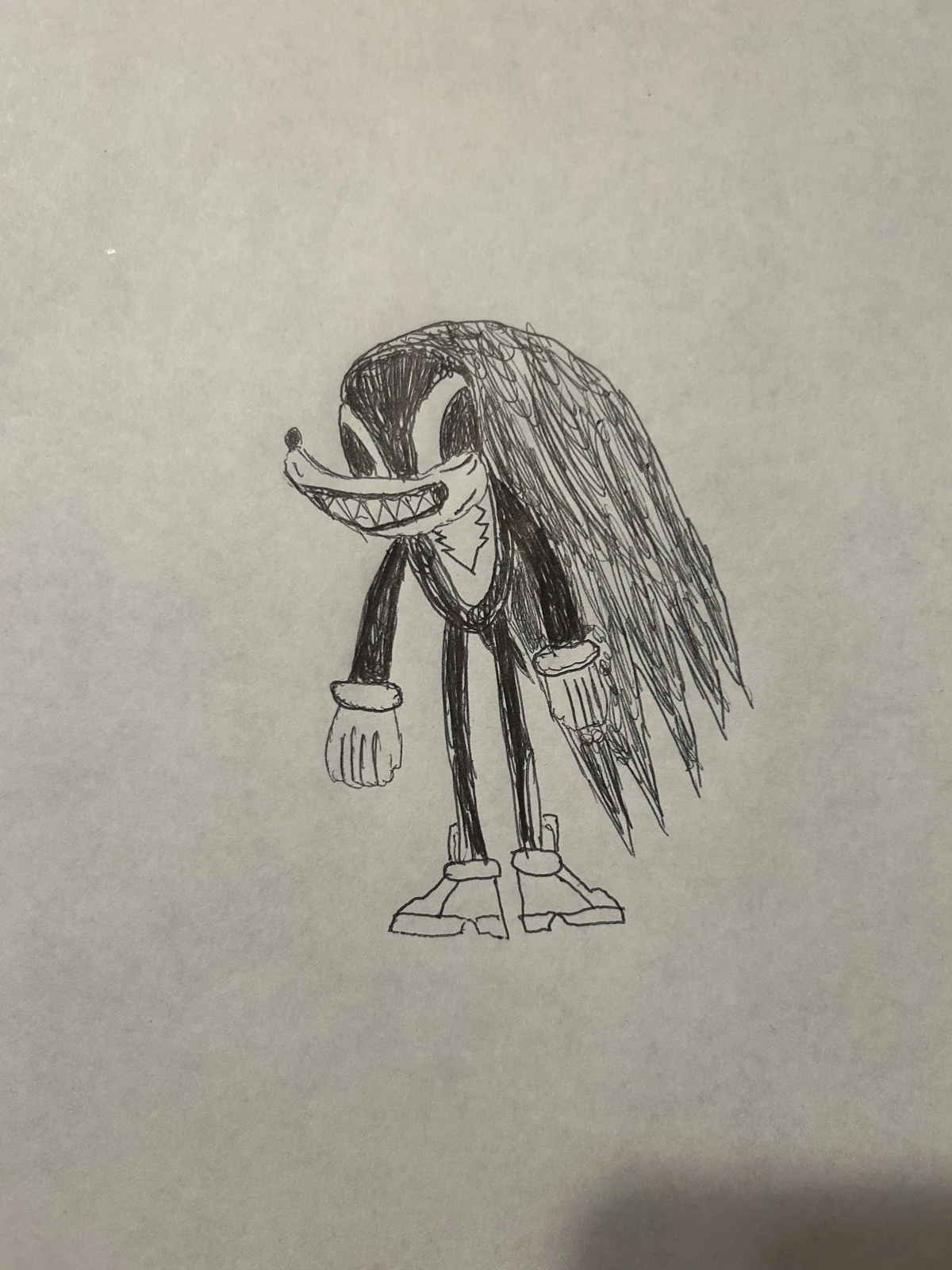 Pure Shadow and Silver Hood | CONTINUED: The Sonic Oddities Wiki | Fandom