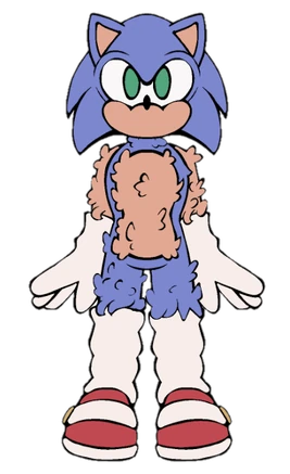 Seeker | CONTINUED: The Sonic Oddities Wiki | Fandom