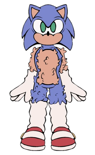Seeker | CONTINUED: The Sonic Oddities Wiki | Fandom