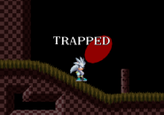 "Sonic" (Sonic.exe 2) | CONTINUED: The Sonic Oddities Wiki | Fandom