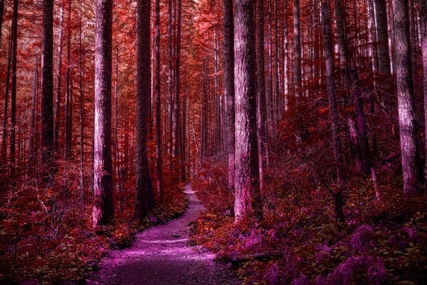 Natiki | CONTINUED: The Sonic Oddities Wiki | Fandom