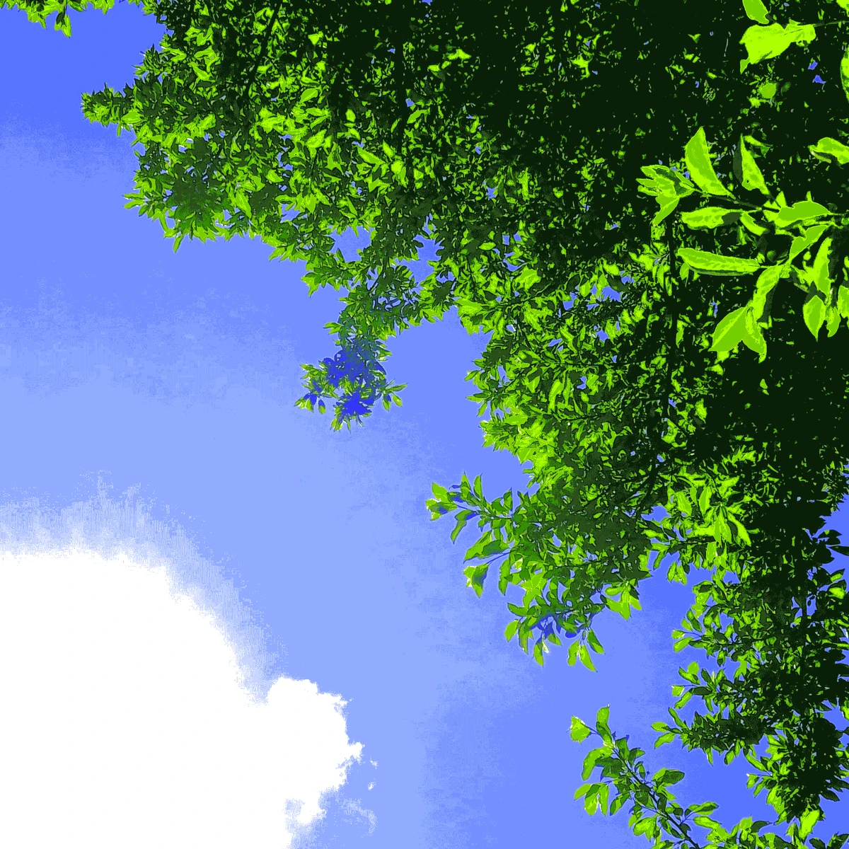 The Shifter | CONTINUED: The Sonic Oddities Wiki | Fandom