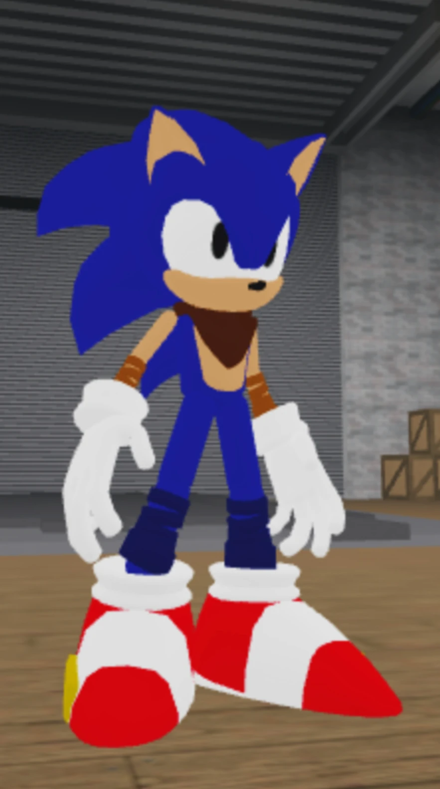 Sonic.LOST | The Sonic Oddities Wiki | Fandom