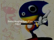 Hoghedge | The Sonic Oddities Wiki | Fandom