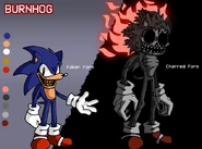 Burnhog | CONTINUED: The Sonic Oddities Wiki | Fandom