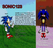 Sonic123 | CONTINUED: The Sonic Oddities Wiki | Fandom