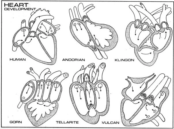 Heart | ContinuingMission Wiki | Fandom