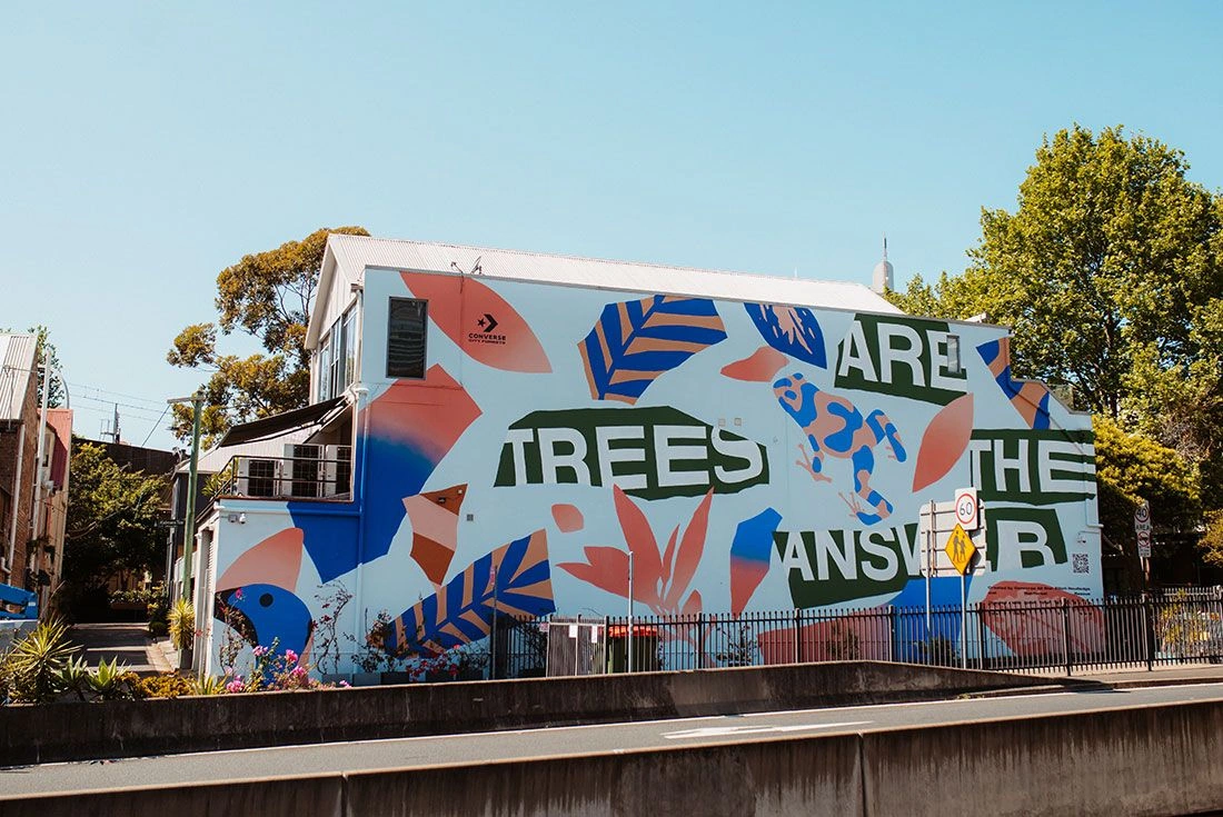 Converse City Forests | Converse Wiki | Fandom