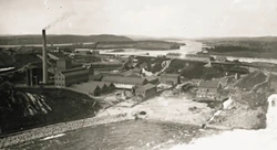 Borregaard | Constructed Worlds Wiki | Fandom