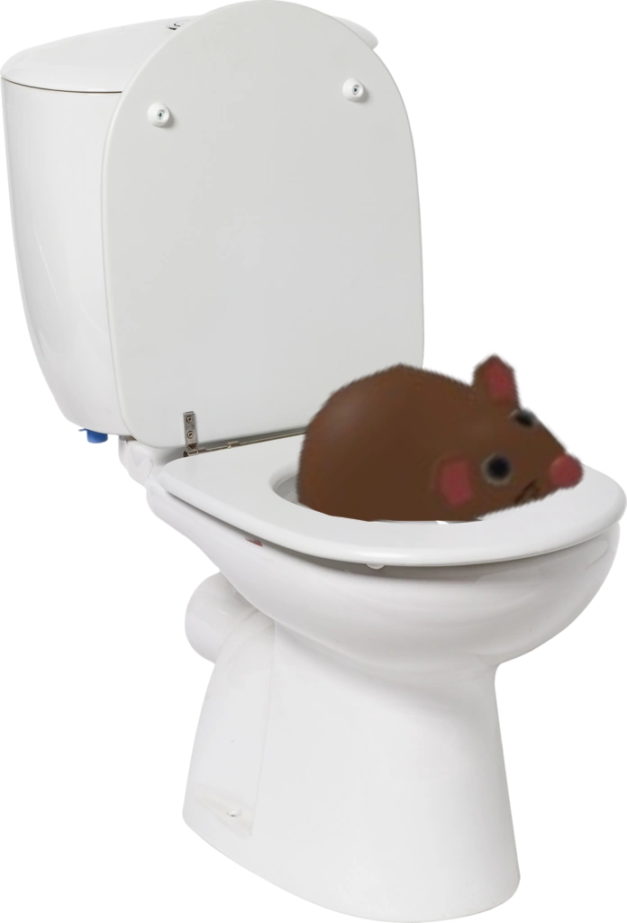 Skibidi Toilet Rat | Cook Pizzas Wiki | Fandom