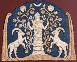 Yam | Cookie Pantheon Wiki | Fandom