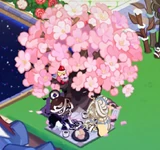 Banoffee Cookie's Gallery | Cookie Run: Kingdom OCs Wiki | Fandom