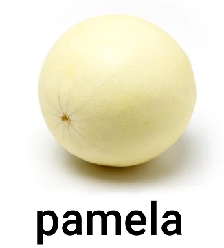 Honeydew Melon Cookie | Cookie Run: Kingdom OCs Wiki | Fandom