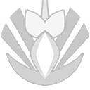 Pistachio Cookie's Gallery | Cookie Run: Tower of Adventures Wiki | Fandom