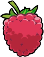 Raspberry - Sprites | Cooking Companions Wiki | Fandom