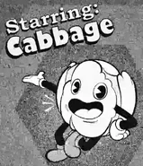 Cabbage - Gallery | Cooking Companions Wiki | Fandom