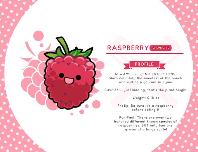Raspberry - Gallery | Cooking Companions Wiki | Fandom