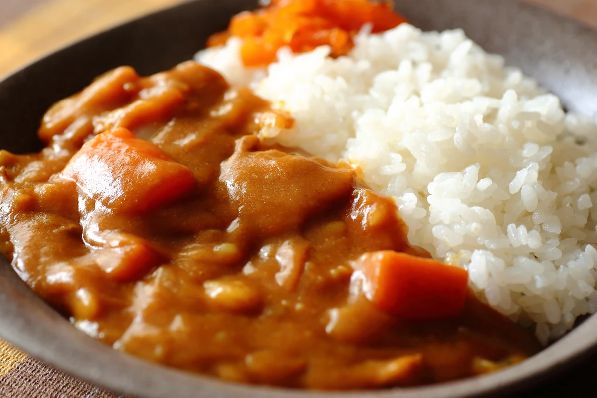 Pork Curry and Rice | Cooking Mama Wiki | Fandom