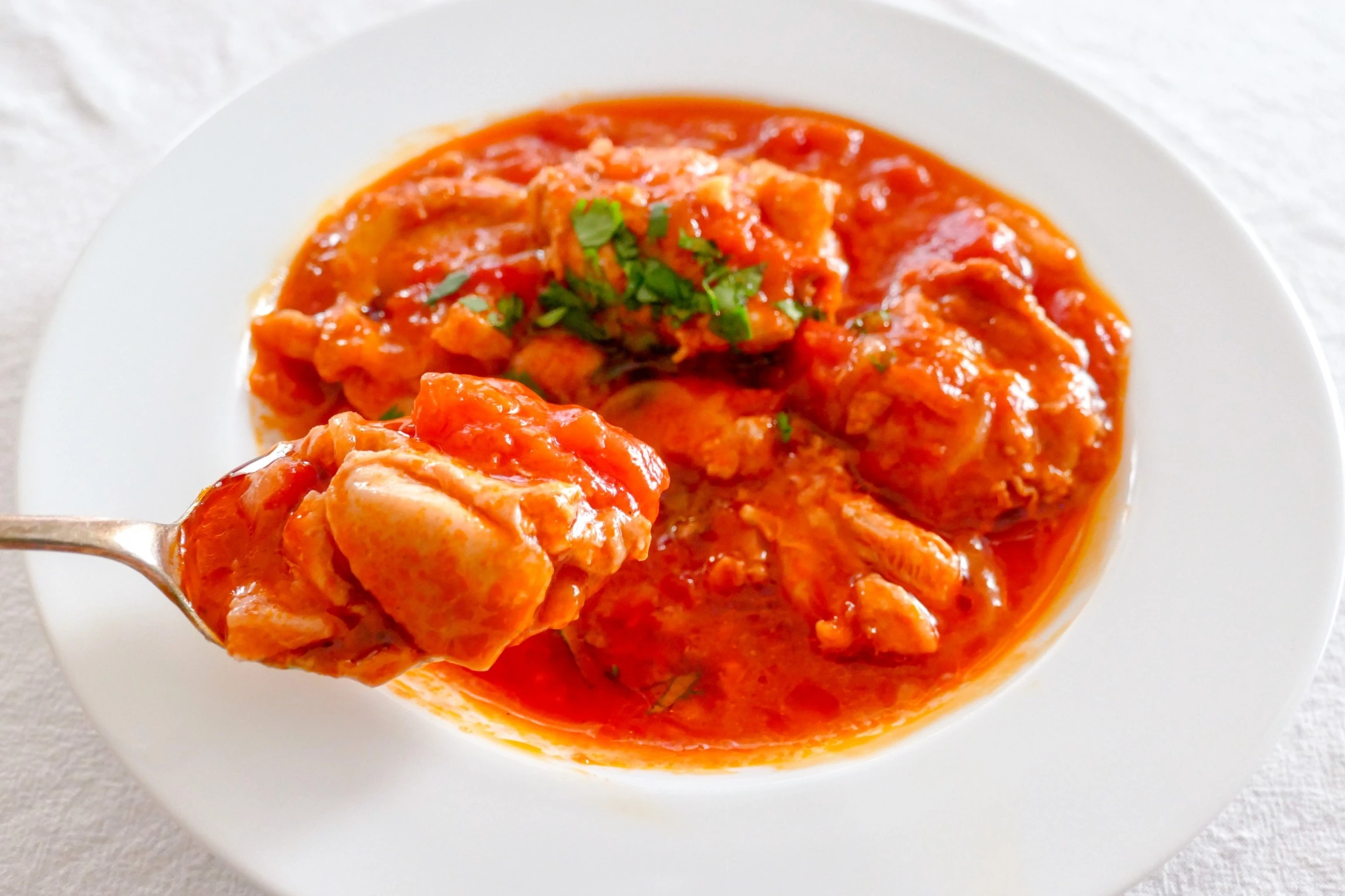 Chicken in Tomato Sauce | Cooking Mama Wiki | Fandom