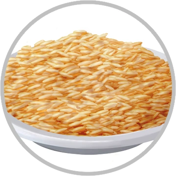 Brown Rice - Official Cook, Serve, Delicious Wiki