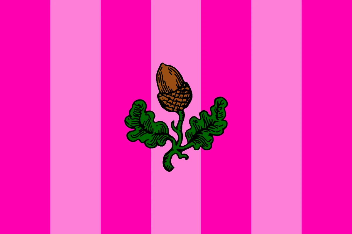 Flag of Kachy | Multiverse Wiki | Fandom