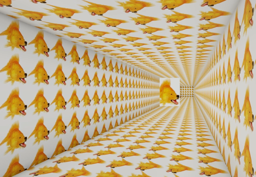 Dogfish | Cool Land Wiki | Fandom