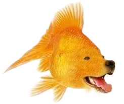 TemplateAbnormality | Cool Land Wiki | Fandom