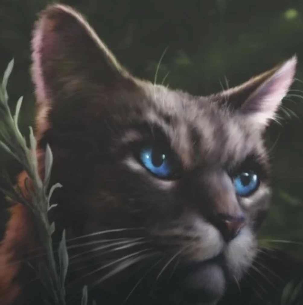 Stonefur | Cool Warrior Cats Wiki | Fandom